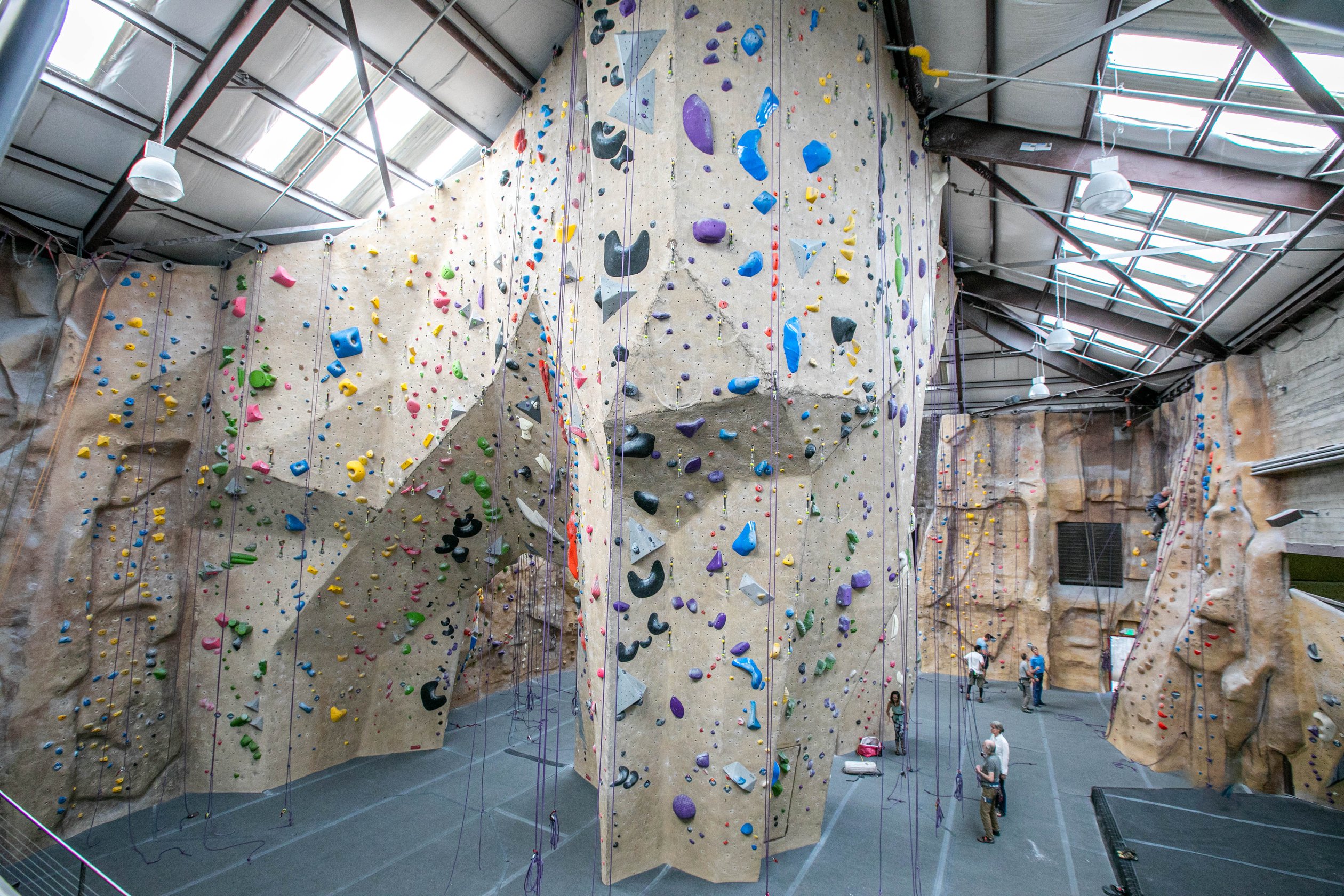 4 Can't-Miss Rock Climbing Gyms in the Bay Area